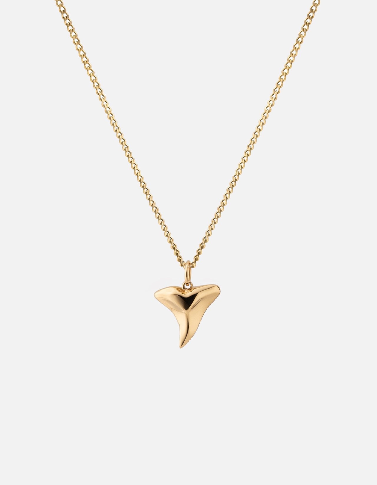 Shark Tooth Necklace, Gold Vermeil, Polished 24" – Maurice's Jewelers
