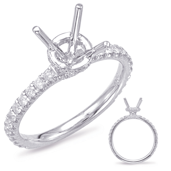 14k White Gold Diamond Mounting – Maurice's Jewelers